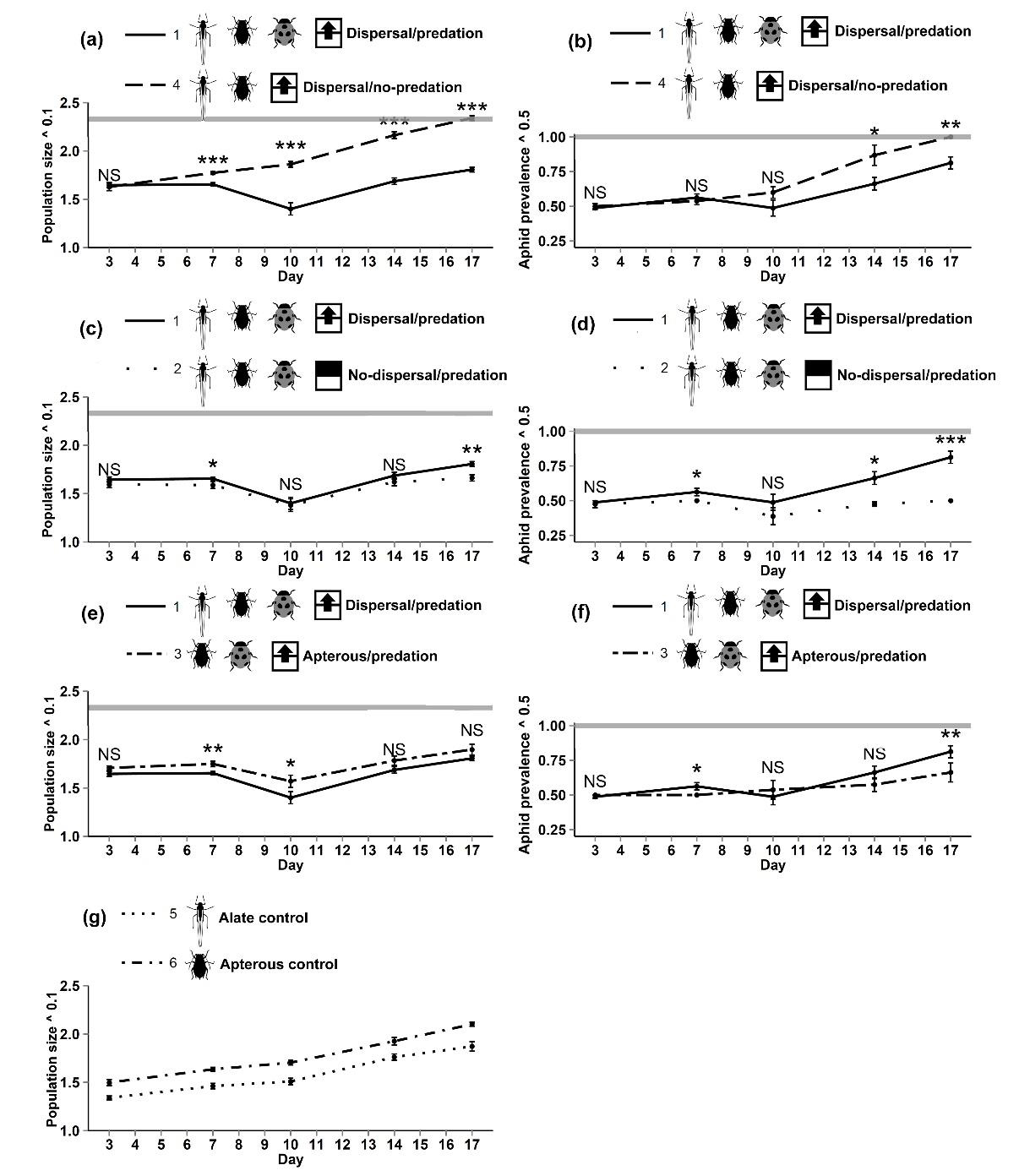 Wing induction in the soybean aphid, Aphis glycines Matsumura ...